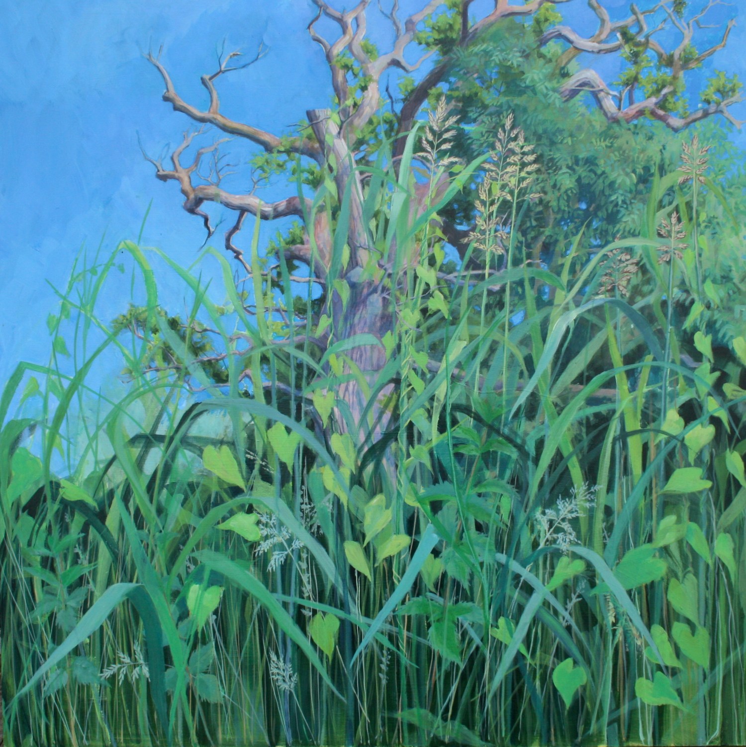 Paintings – Alex Egan