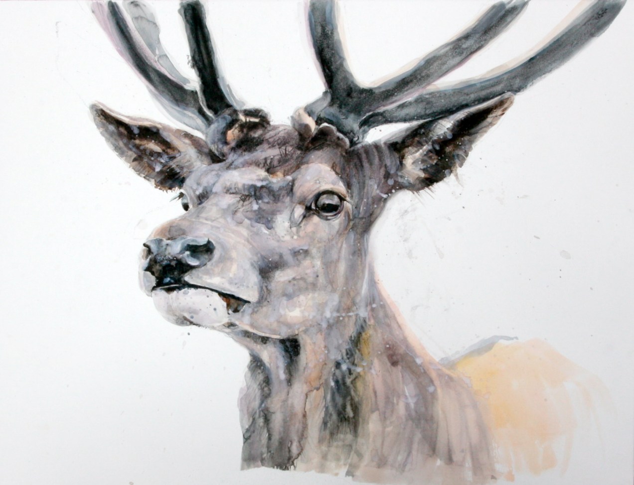 Animals – Alex Egan