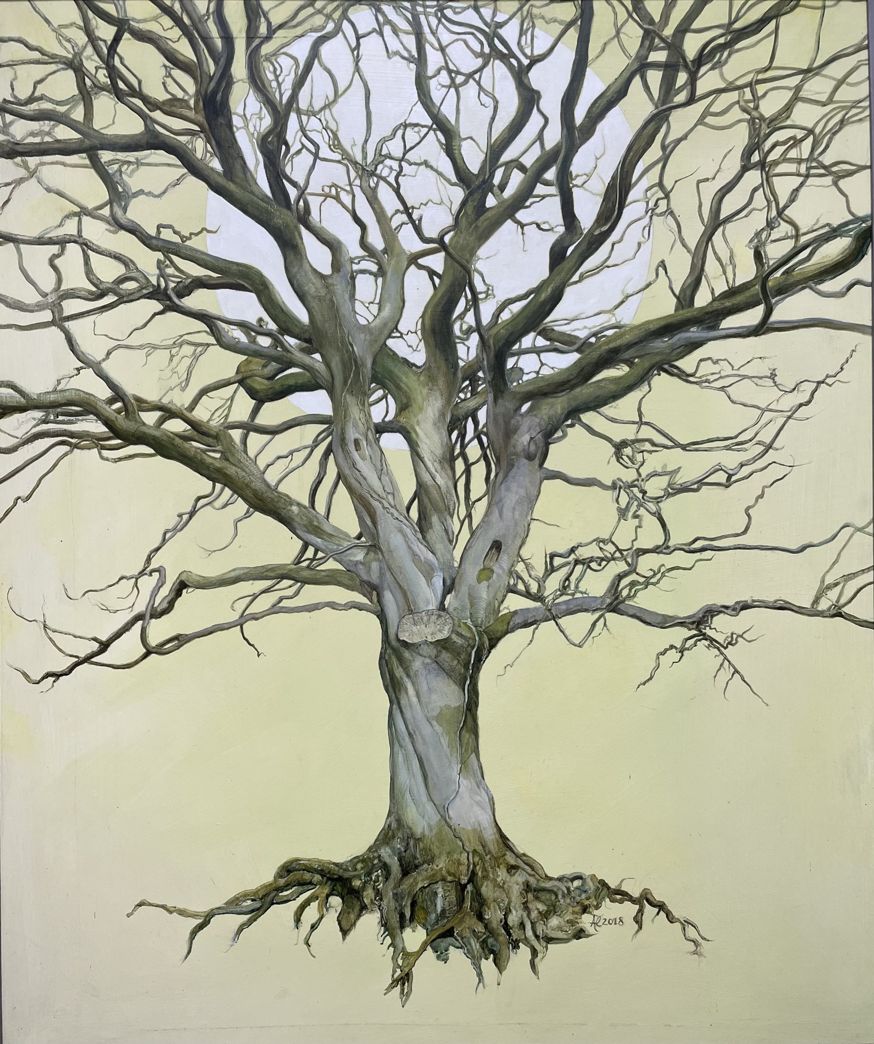 Paintings – Alex Egan